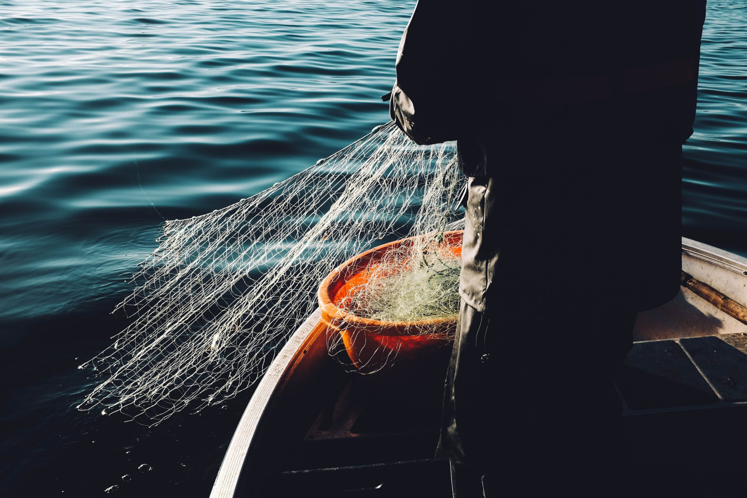 The Human Life Review Put Out into the Deep! - The Human Life Review