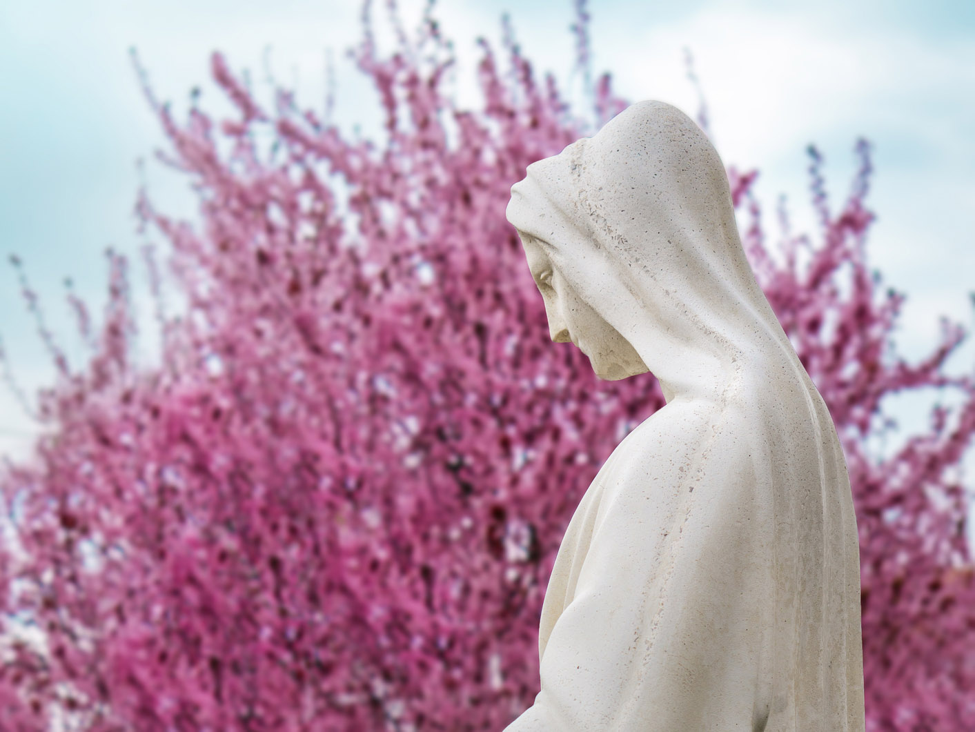The Human Life Review Mary’s Month - The Human Life Review