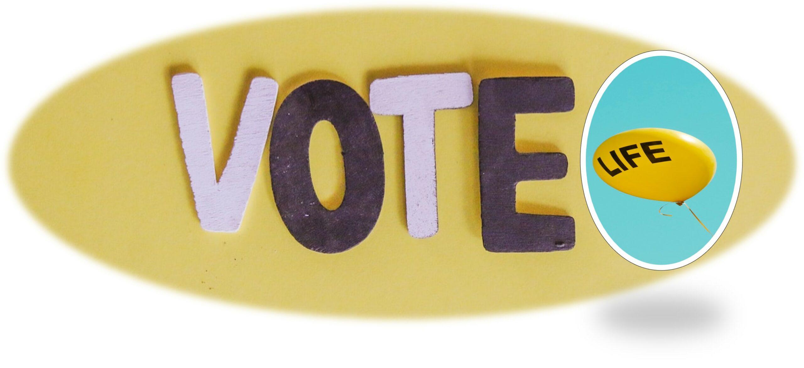 The Human Life Review November Elections: Vital Lessons for Pro-lifers ...